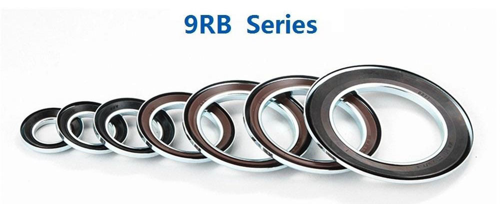 RB 9RB Axial Face Seals Gamma Seal Ring - Buy Axial Face Seals, Gamma ...